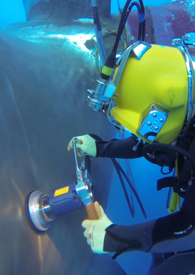 Seaweed Diving Services | Professional Underwater Maintenance Solutions Across India